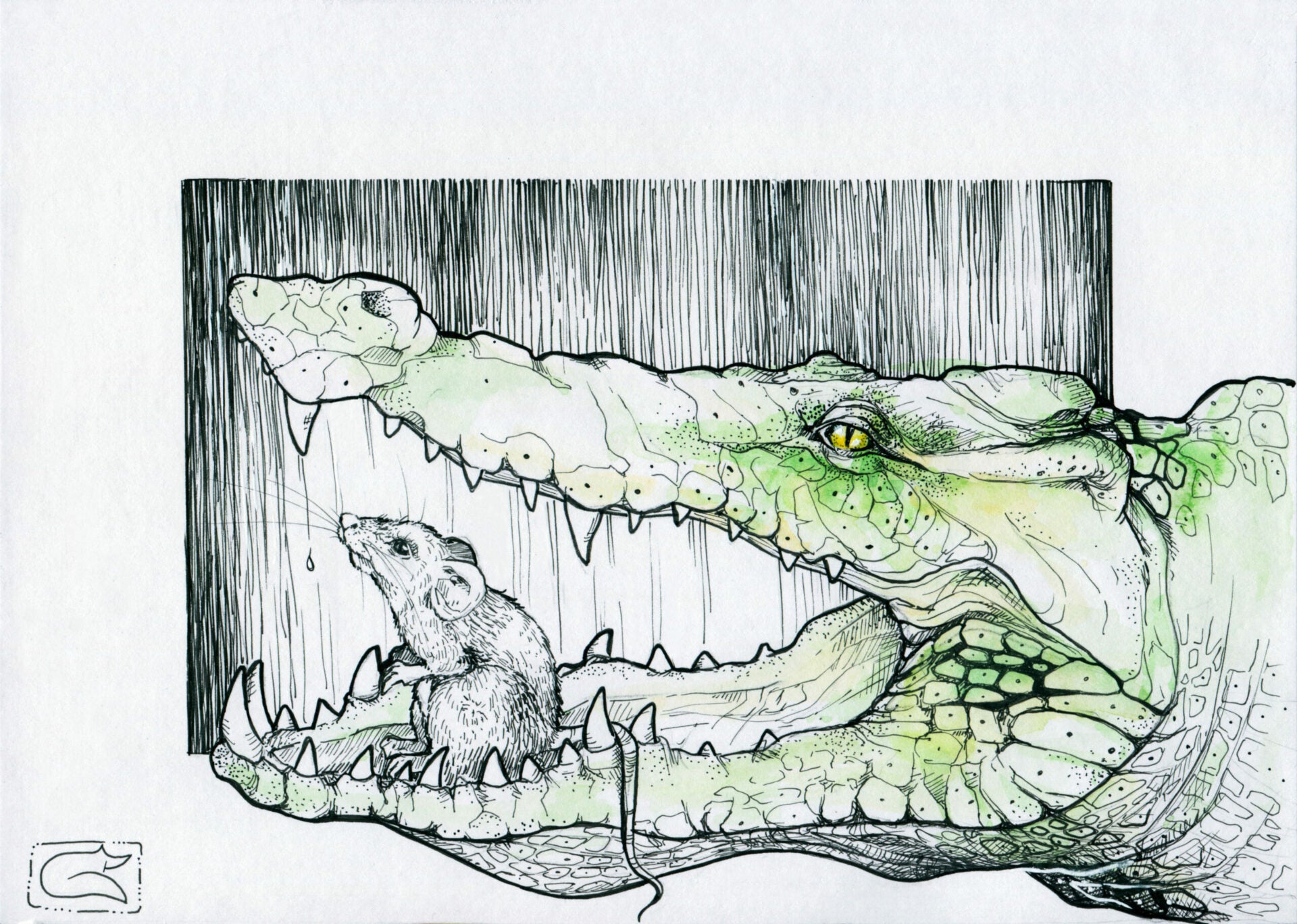Crocodile roof – Feinfuchs